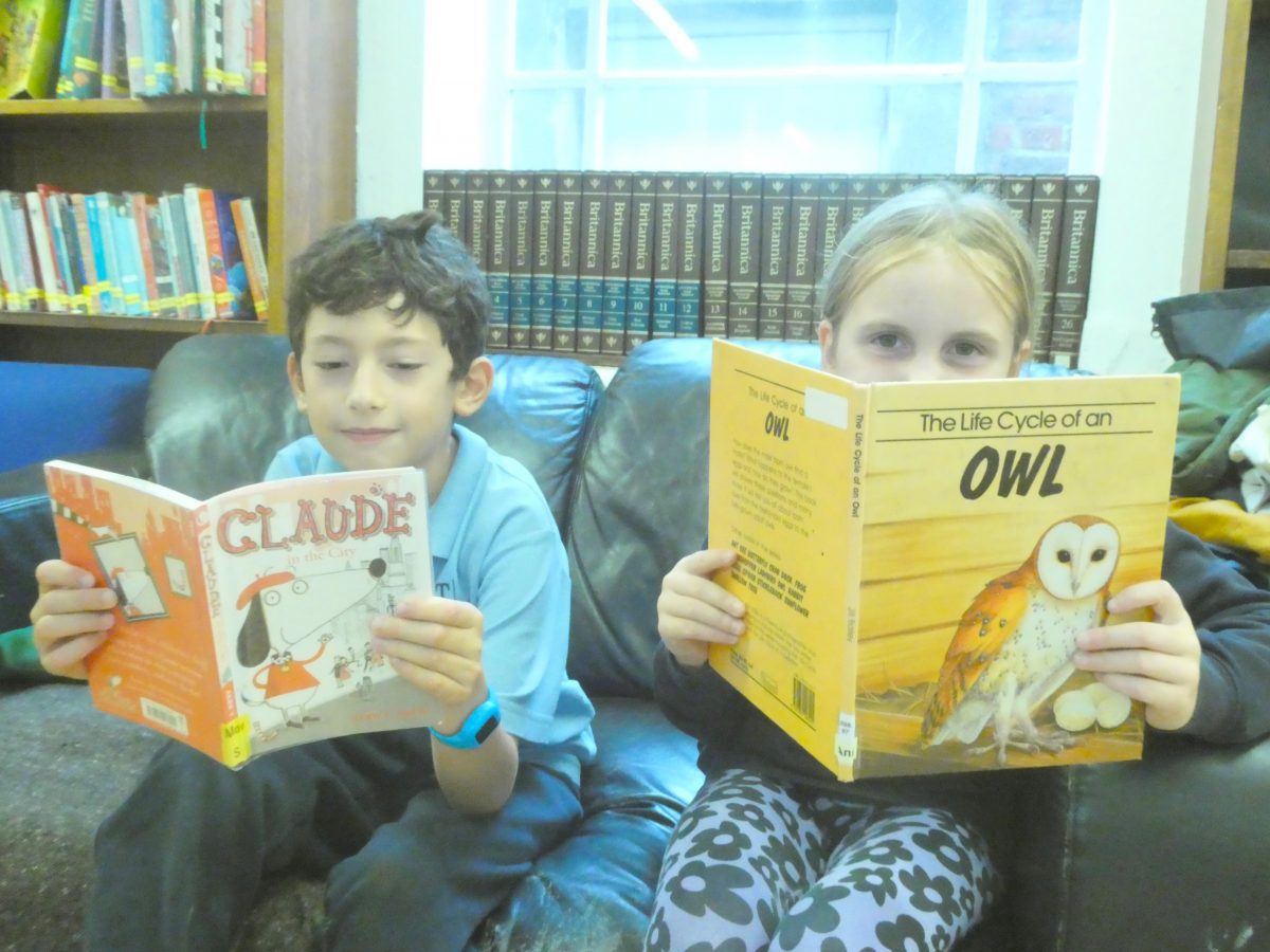 Belsize Community Library trip, Junior Forms – Trevor-Roberts School